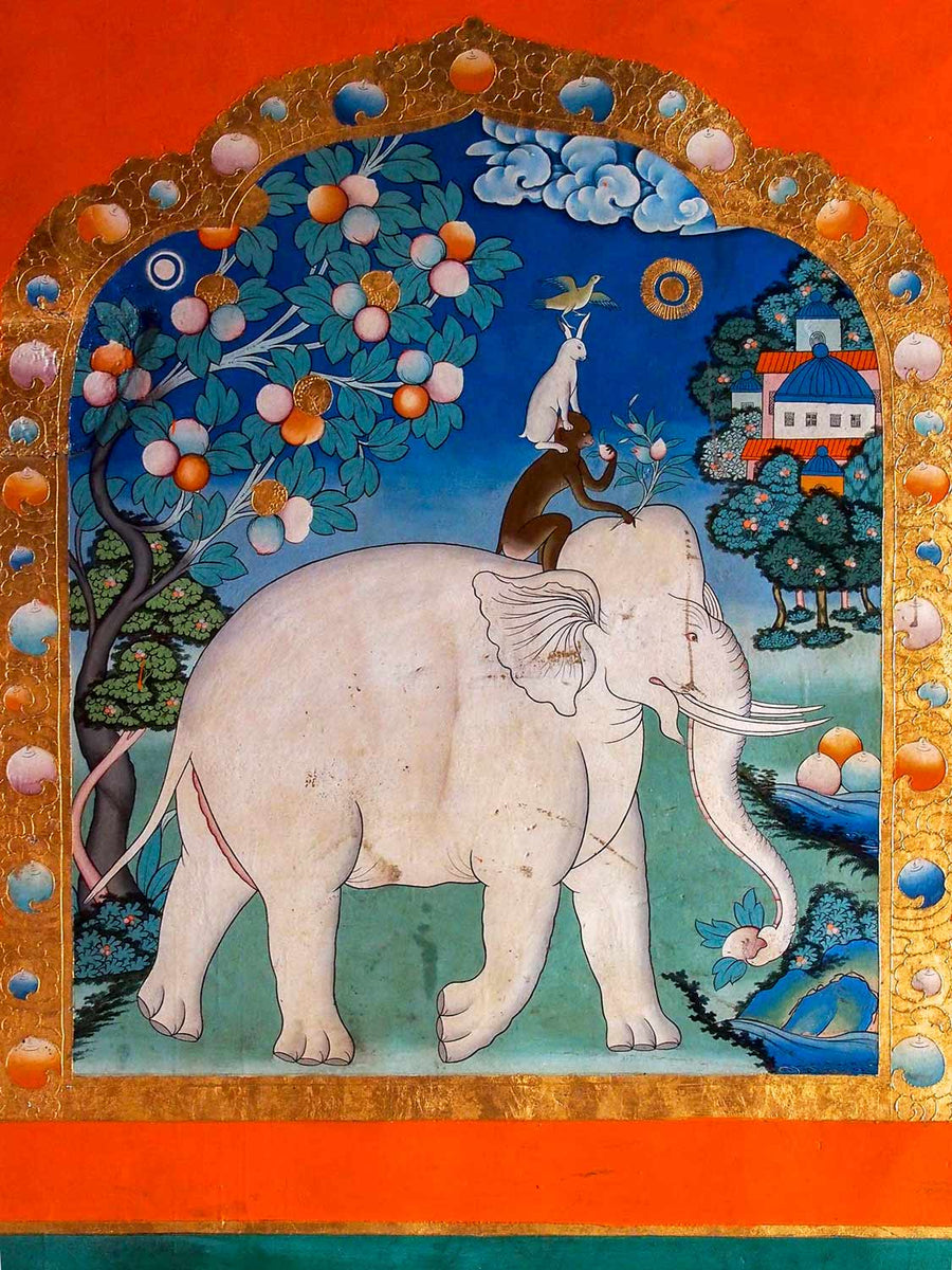 elephant monkey rabbit bird